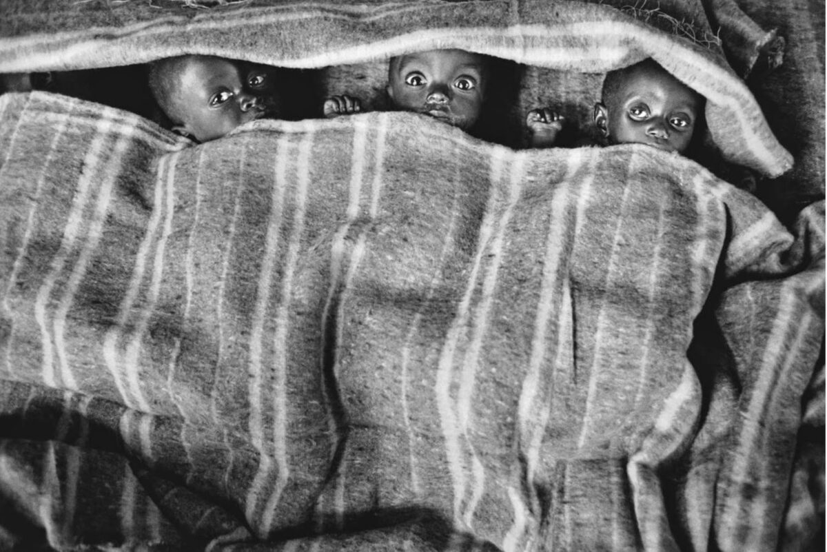 La sal de la tierra – Sebastião Salgado | lalulula.tv